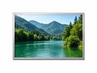 China 12.1 Inch IPS TFT LCD Module 1280x800 LVDS Office Automation Display for sale