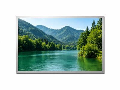 China 12.1 Inch IPS TFT LCD Module 1280x800 LVDS Office Automation Display for sale