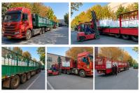 China OEM Anti Slip Thermoplastic Road Marking Paint for Zebra Crossings and Pedestrian Areas for sale