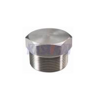 China Class3000 Stainless Steel High Pressure Hex Head Plug 1/8