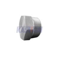 China ASTM A105 ASME B16.11 Carbon Steel Threaded Hex Head Plug - 1/8