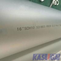China ASTM A928 S31803 Super Duplex Stainless Steel EFW Pipe 1/8