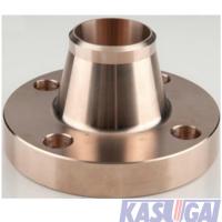 China ASTM B151 C71500 Copper Nickel Weld Neck Flanges 1/2