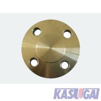 China ASTM B151 C70600 Copper Nickel Blind Flanges 1/2