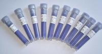 China Copper Peptide 49557-75-7 GHK Cu Peptide Cosmetic Ingredient Anti Aging Skin Care Use for sale