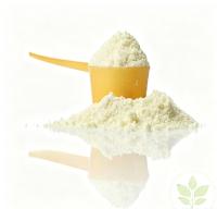 China 7-Nitroindole 6960-42-5 Organic Intermediate for Pharmaceutical Chemical Research for sale