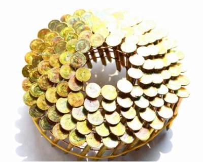 China Diamond Point Galvanized Coil Nails High Performance  EG Roofing Coil Nails for sale