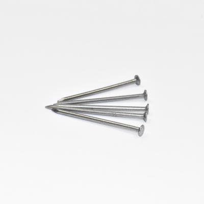 China Round Head Zinc Galvanized Nails , Smooth Shank Galvanized Steel Spike Nails for sale