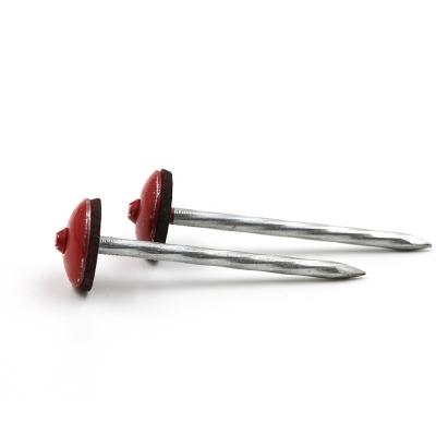 China 2 inch Galvanized Roofing Nails With Umbrella Head For Construction for sale