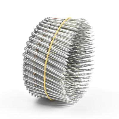 China 2.5mm*57mm Wire Collation Galvanized Pallet Coil Nails Carbon Steel All Size Zinc Coil Nails for sale
