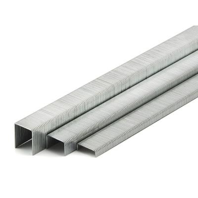China Durable Steel 20 Gauge Crown Staples Glue Collated For Upholstery / Screening for sale