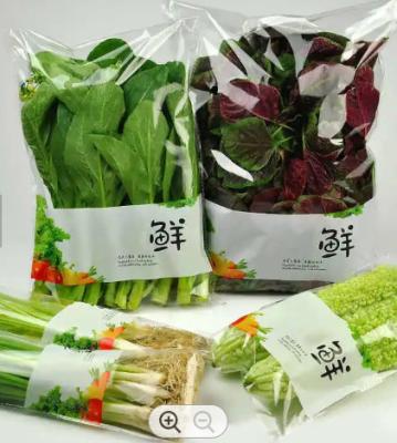 China Vegetables Plastic Bread Bag Micro Perforated Bags Eco Friendly Waterproof for sale