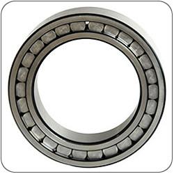 China SL183013 Full Complement Cylindrical Roller Bearing 65x100x26mm Chrome Steel for sale