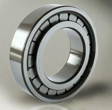 China Cylindrical Roller Bearing SL182919 95x130x22mm Full Complement Semi-Locating Bearing for sale