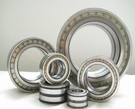 China SL183034 Full Complement Cylindrical Roller Bearing 170x260x67 mm GCr15SiMn Steel for sale