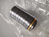 China F-53579.T3AR Tandem 3-Row Plastic Extrusion Gearbox Bearing 239kN 600kN for sale