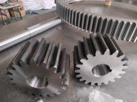 China Pinion Gear 266.7mm Diameter Module 12.7 19 Teeth 42CrMo Forged Hardened for sale