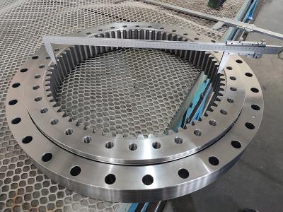 China Slewing Bearing 16295001 Internal Teeth 730x496x85.7mm for Log Loaders Fellers Machine for sale