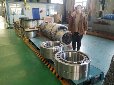 China NNU40/500MAW33 Double Row Cylindrical Roller Bearing 500x720x218mm for Paper Mill for sale