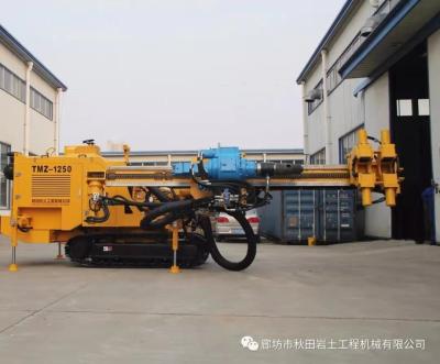 China Narrow Spaces Applicable Drilling And Micropile Highway Drill Rig TMZ-1250 for sale