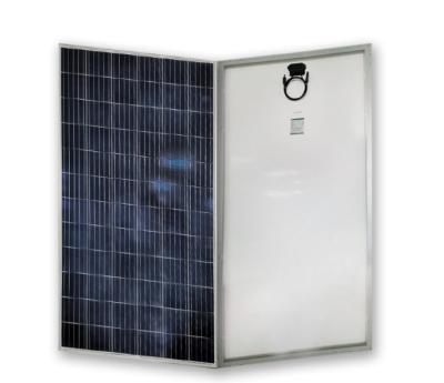 China Polycrystalline Solar Panel 72 Cell 36V 350W to 380W Photovoltaic Module for Solar Power System for sale
