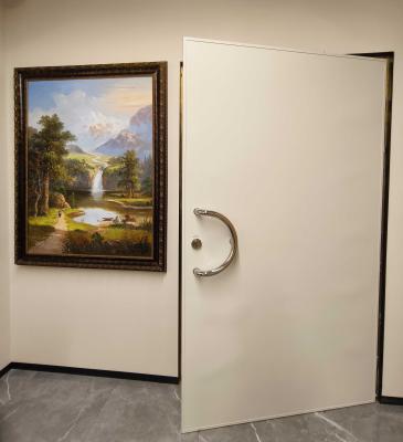 China Manual Locking RF Shielded Doors with 100 dB Shielding Effectiveness and Non-Magnetic Materials for MRI Suites for sale