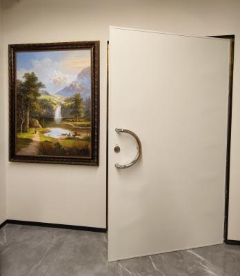 China MRI Room RF Shielding Door Fast Delivery Factory Direct Supply for sale