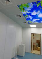 China Mri Copper White Swing Radiation Shielding Doors Brass Frame For Hospital for sale