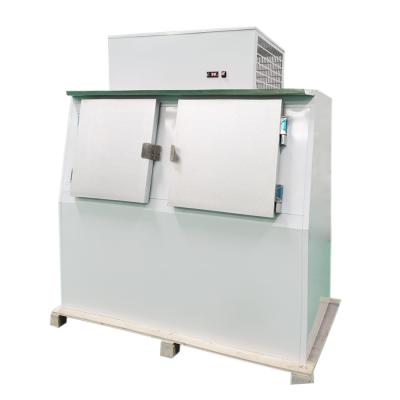 China 60 Cubic Feet Bagged Ice Merchandiser 1315L Outdoor For Gas Station for sale