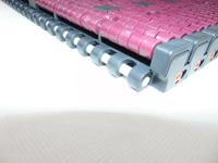 China MARBELT 1005LBP LOW BACK PRESSURE CHAINS WITH DOUBLE POSITRACKS MATERIALS POM PURPLE FOR ACCUMULATE TABLE for sale