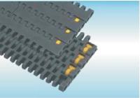 China ZY3100FT REGINA 8505 FLAT TOP MODULAR BELTS  SOLID TOP CONVEYOR BELTINGS for sale