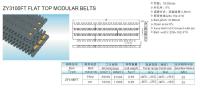 China ZY3100FT REGINA 8505 FLAT TOP MODULAR BELTS  SOLID TOP CONVEYOR BELTINGS for sale