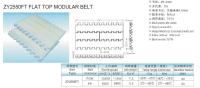 China ZY2550FT STRAIGHT RUNNING PLASTIC FLAT TOP MODULAR BELTS for sale