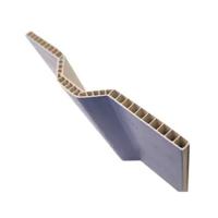 China Corrugated Twin Wall PVC Roofing Plastic Profile Machine for sale