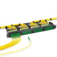 China Rongbang 12 Port LC APC Duplex Adapter Panel 24 Fibers OS2 Single Mode Fiber Cassette Module for sale