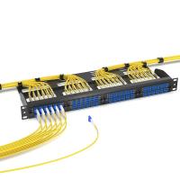 China 12 Port LC Duplex Fiber Optic Patch Panel 24 Fibers OS2 Single Mode 1U for sale