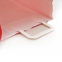 China Glossy Matte Kraft Paper Bags  Eco Friendly Biodegrade for sale
