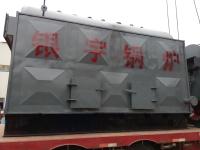 China Automatic Feeding Wood Steam Boiler Easy Operation  No Pollution Install Quickly for sale