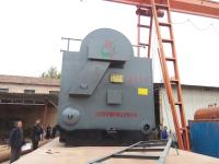 China High Reliability Coal Burning Boiler , Automatic Steam Boiler For Milk Industry for sale