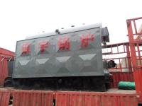 China Automatic PLC Control Coal Fired Residential Boiler  For Chemical Industries for sale