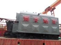 China Commercial Wood Fired Steam Boiler , Indoor Wood Boiler Reduce Resource Waste for sale