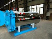 China Environmental  Gas Powered Steam Boiler , High Efficiency Natural Gas Boiler for sale