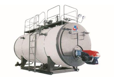 China Larger Size  Gas Fired Hot Water Furnace For Agriculture Thermal Insulation for sale