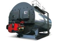 China Medical Treatment Gas Powered Steam Boiler , High Efficiency Natural Gas Boiler for sale