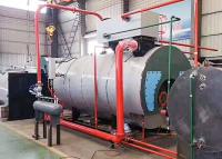 China Fully Auto Control System Gas Fired Steam Boiler For Brewery Industries for sale