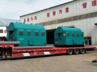 China 6t 4.2MW Coal Fired Hot Water Boiler Nature Circulation for sale