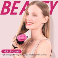 China Professional Electric Hot Air Curling Comb with Intelligent Temperature Control Nylon Brush Waterproof for Household Salon Use for sale