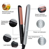 China Electric Hair Straightener Keratin Therapy Ceramic Plates LED Multi-Temperature Control Portable Flat Iron Hotel Household Use for sale