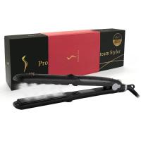 China Professional Electric Hair Steam Straightener Flat Iron Fast Heating Ceramic Plates for Household Outdoor Use Soft Smooth for sale