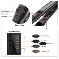 China Professional Electric Hair Steam Straightener Flat Iron Fast Heating Ceramic Plates for Household Outdoor Use Soft Smooth for sale